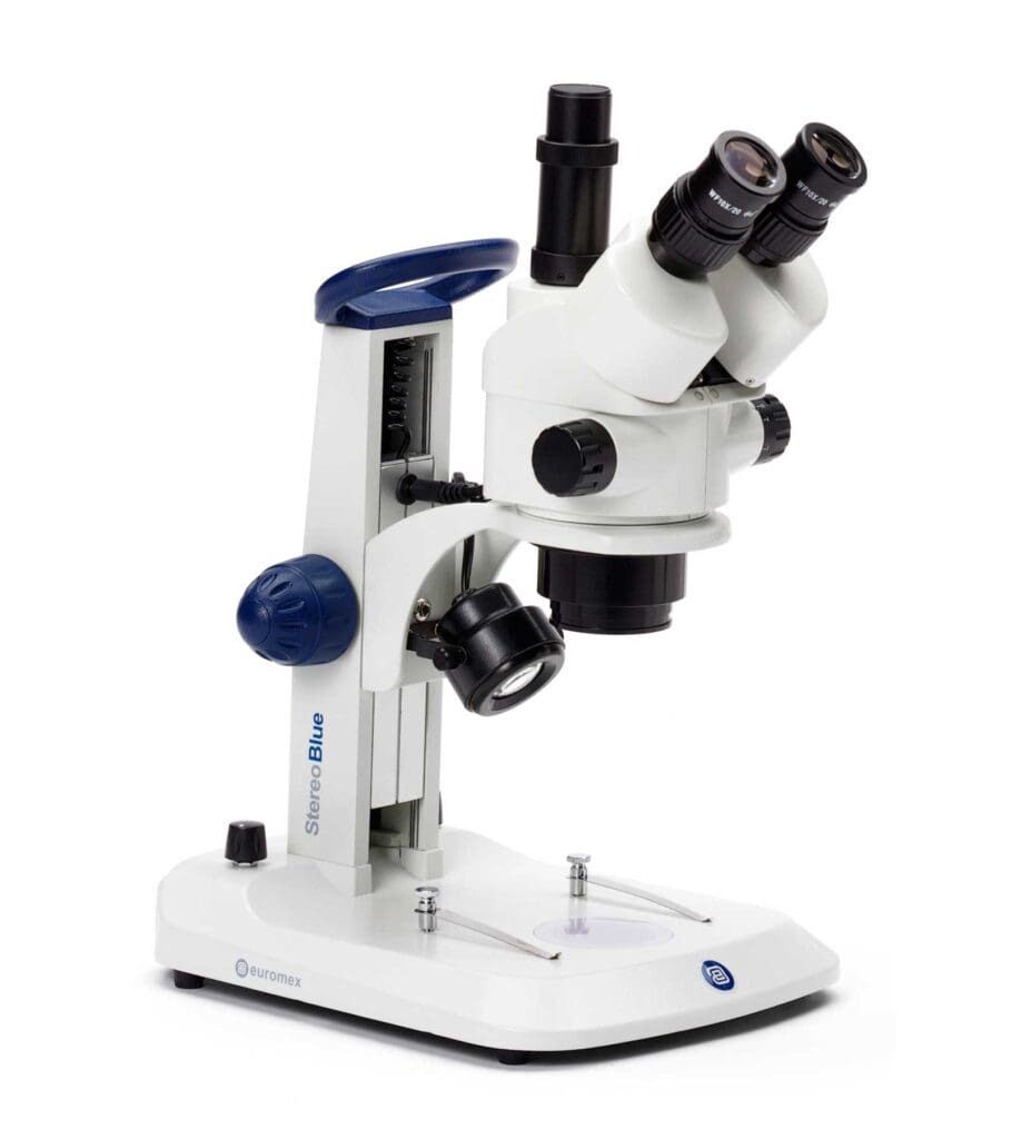 Stereo Microscopes Archives - Best Scientific