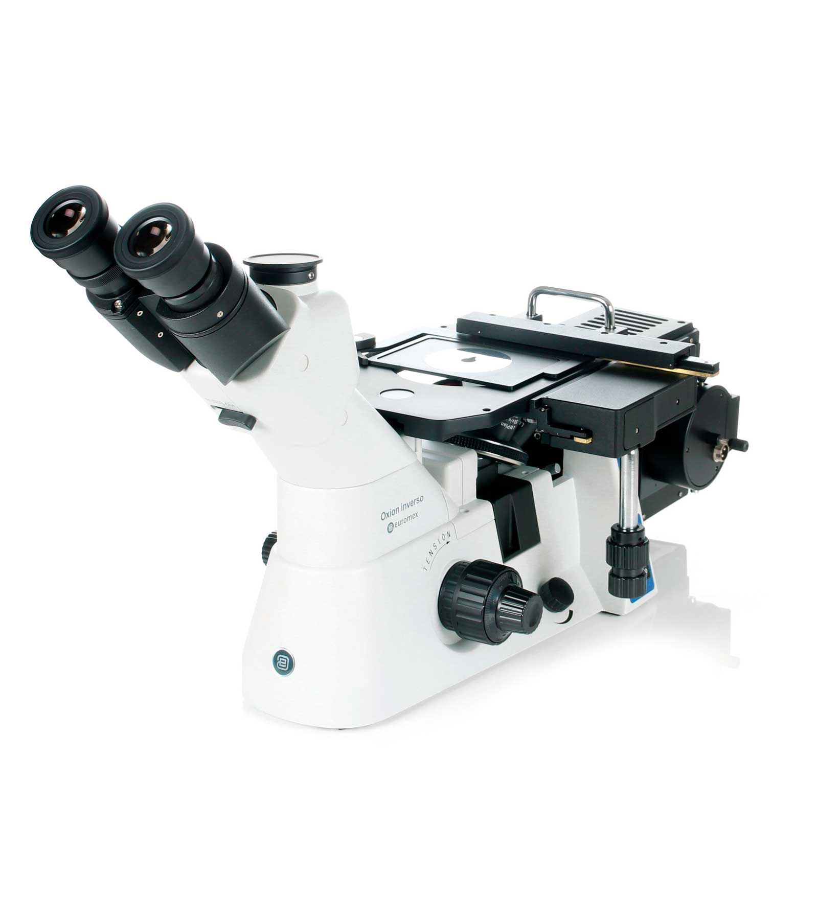 Buy OX.2153-PLM Euromex Oxion Materials - Best Scientific