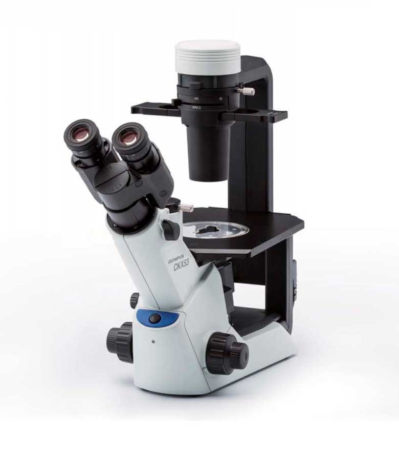 Inverted Microscopes | Biological Microscopes | Best Scientific UK