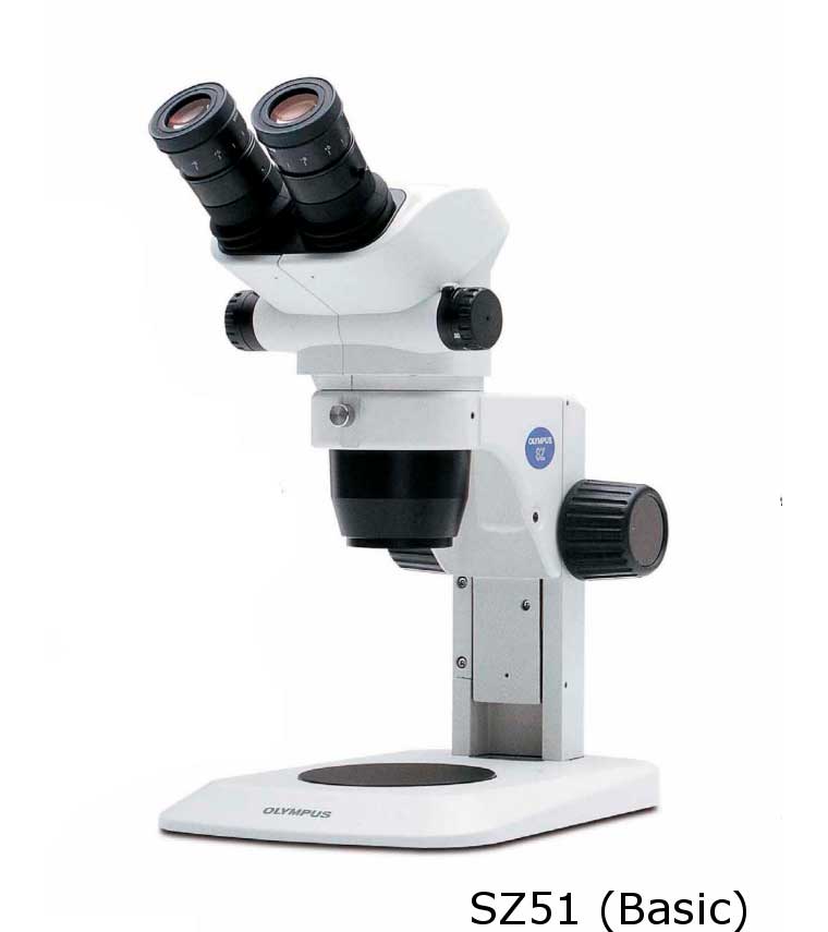 Buy SZ51-Basic Evident Stereo Binocular - Best Scientific