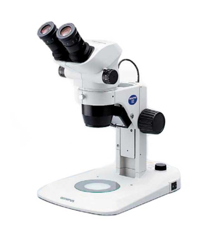 Buy SZ51-LED Evident Stereo Binocular - Best Scientific