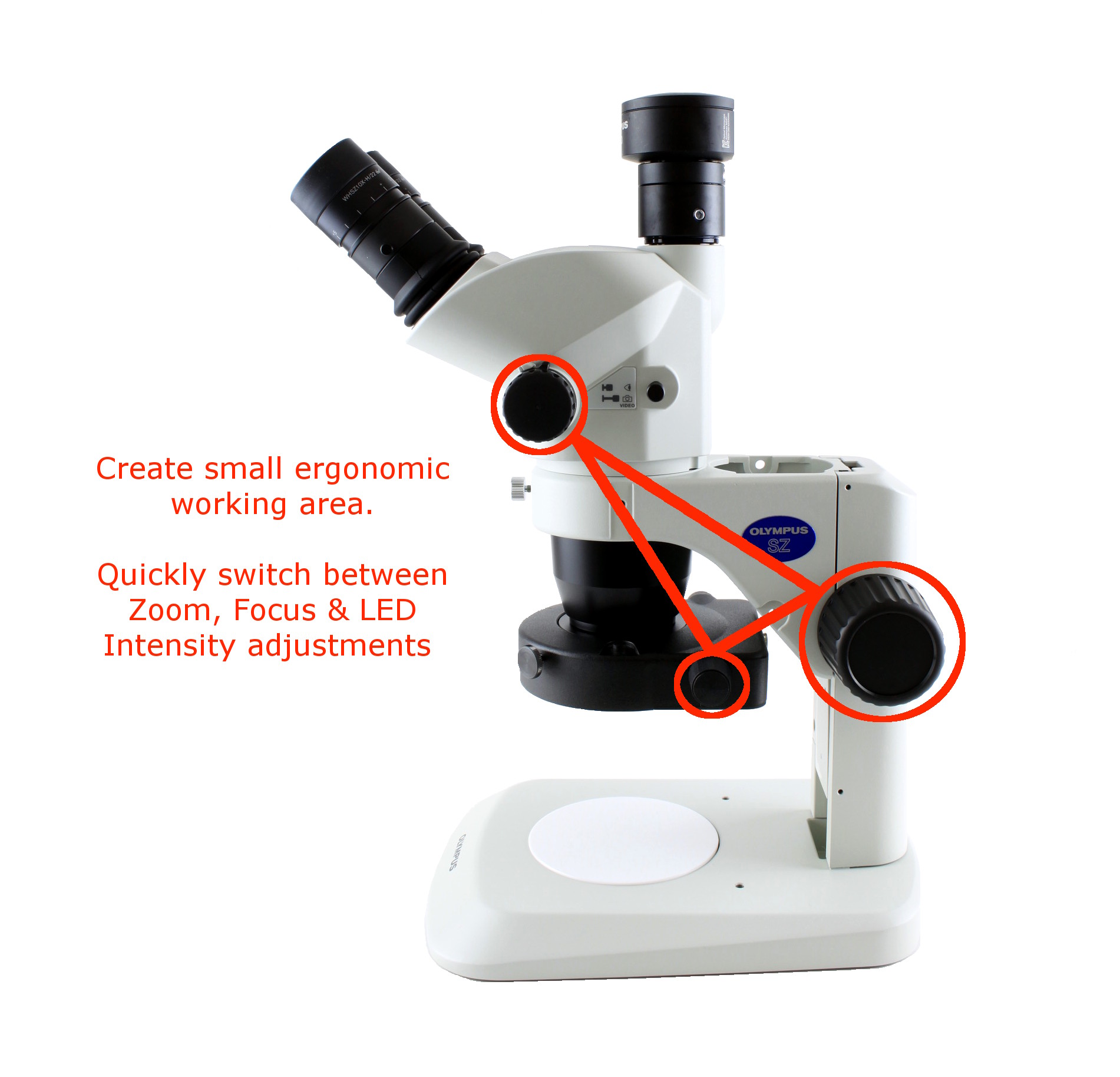 Buy HPRL Photonic High Power Ring Light - Best Scientific