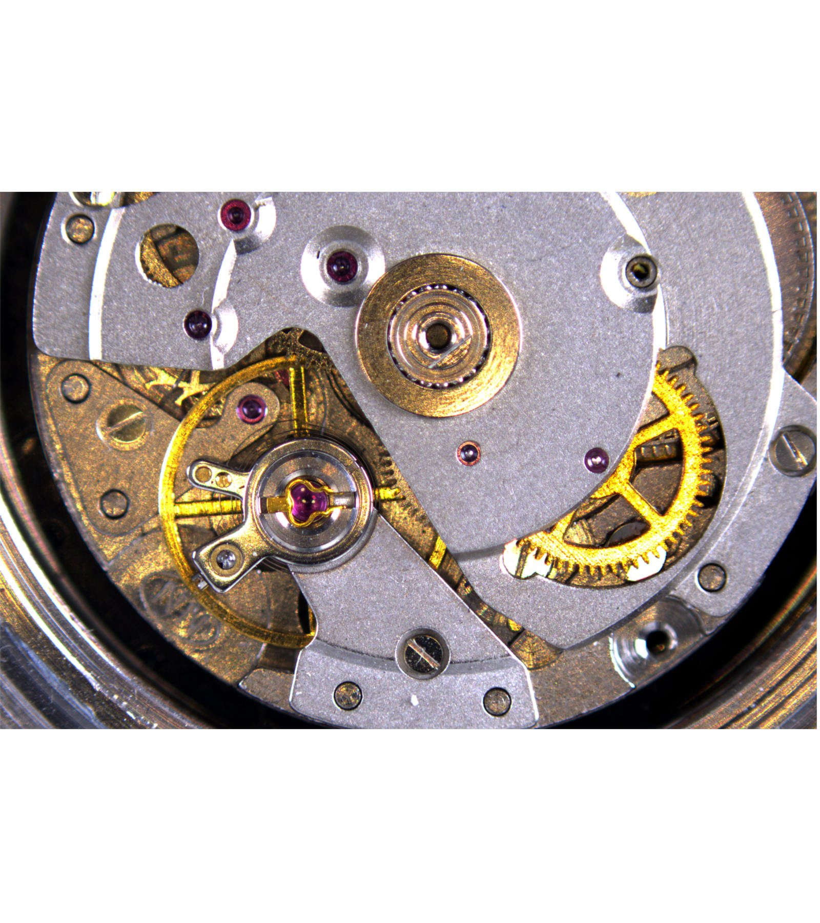 Buy Linea M Digital Microscope - Best Scientific