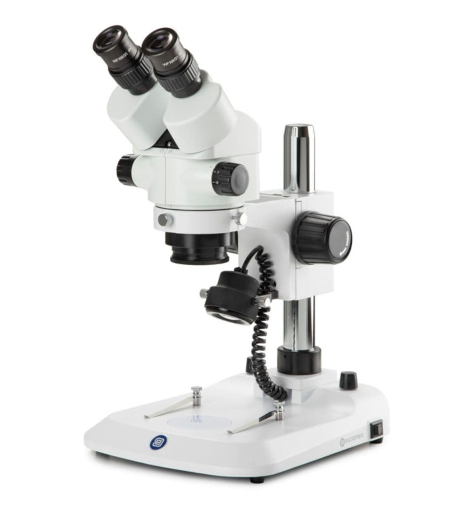 Stereo Microscopes Archives - Best Scientific