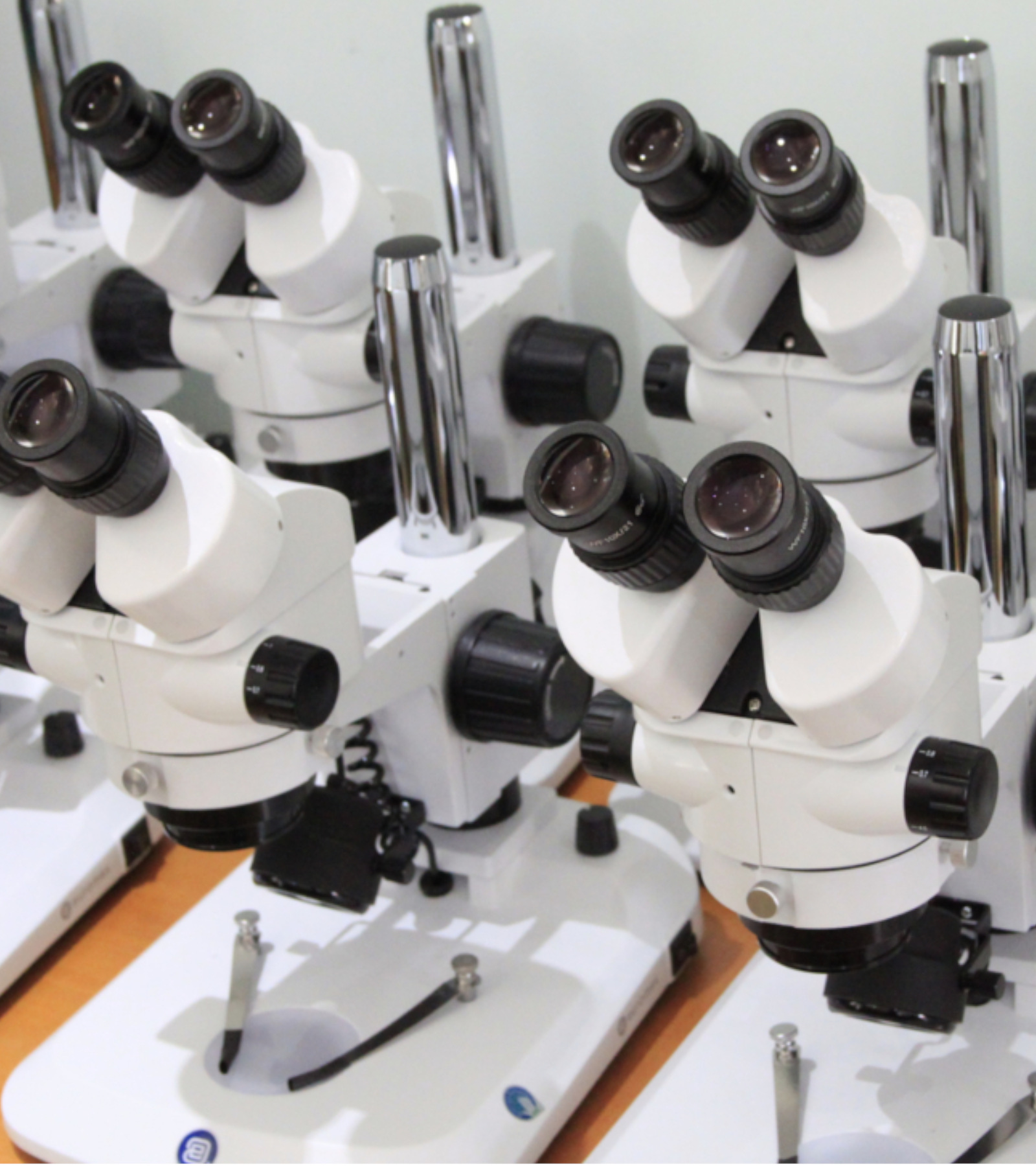 SB.1902-P Euromex Stereoblue - Best Scientific