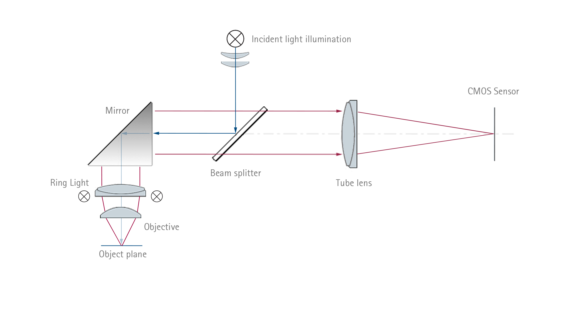 Compact M Digital Microscope - Best Scientific