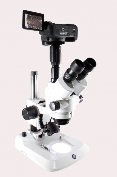 Buy Microscope Camera Couplers - Best Scientific