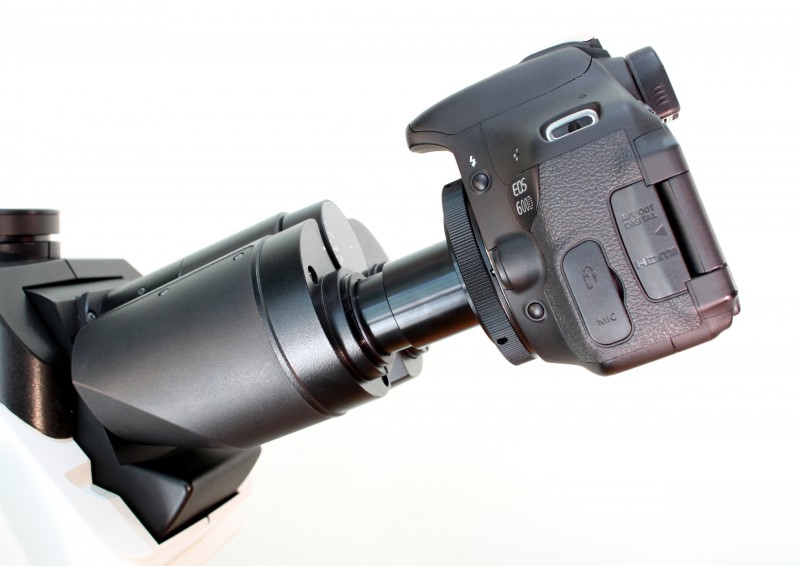 Buy Microscope Camera Couplers - Best Scientific