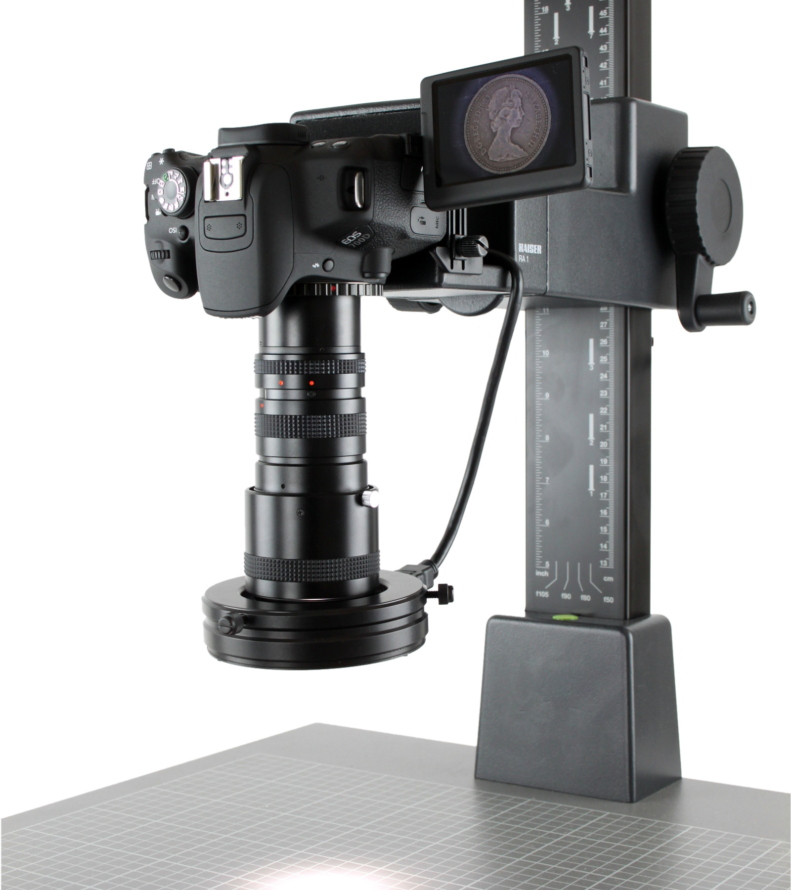 Buy Close-up Macro Photography Stations - Best Scientific